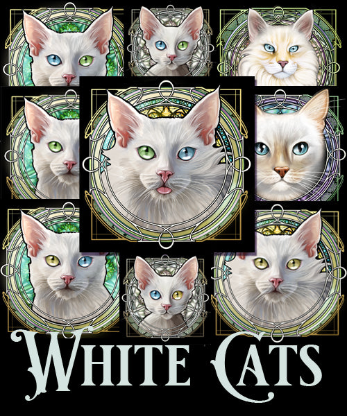 White – EchoCat.Art